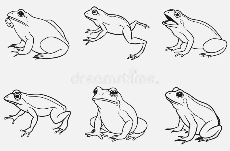 Frog Line Stock Illustrations – 6,261 Frog Line Stock Illustrations ...