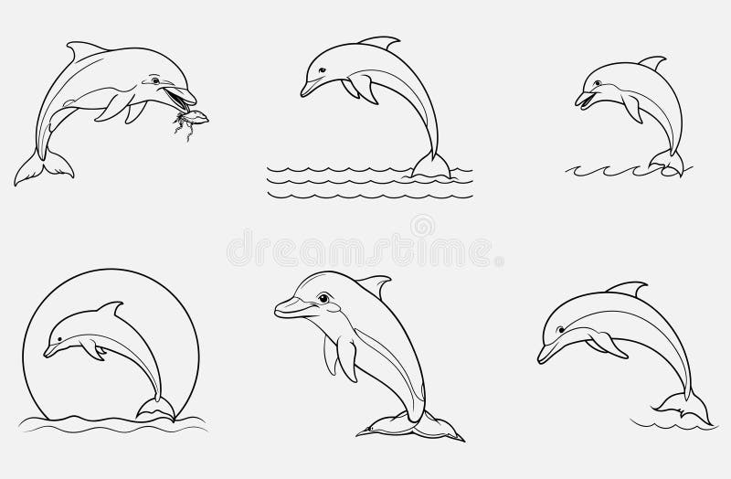 Ultimate Dolphin Line Art Set Vector, Stunning Illustrations for ...