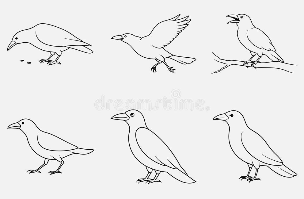 Majestic Crow Line Art Vector Set, Intricate and Detailed Designs Stock ...