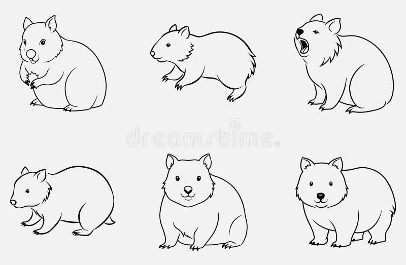 Wombat Drawing Outline