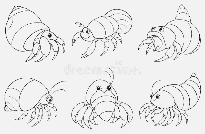 Hermit Crab Line Art Set ,Exquisite Illustrations for Creative Projects ...
