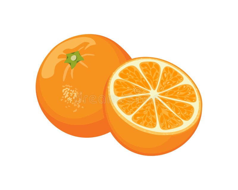 Orange Fruit Whole and Half Isolated on White. Vector Cartoon ...