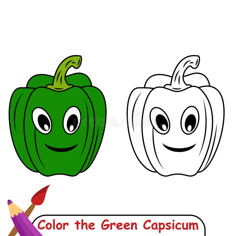 Color the Capsicum Vegetable Drawing Illustration. Coloring Book for ...