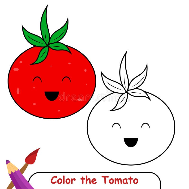 Color the Tomato Vegetable Drawing Illustration. Coloring Book for Kids ...
