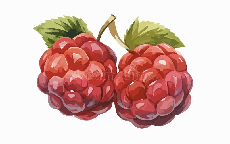Raspberries Fruits Watercolor Art and Illustration Generative AI Stock ...