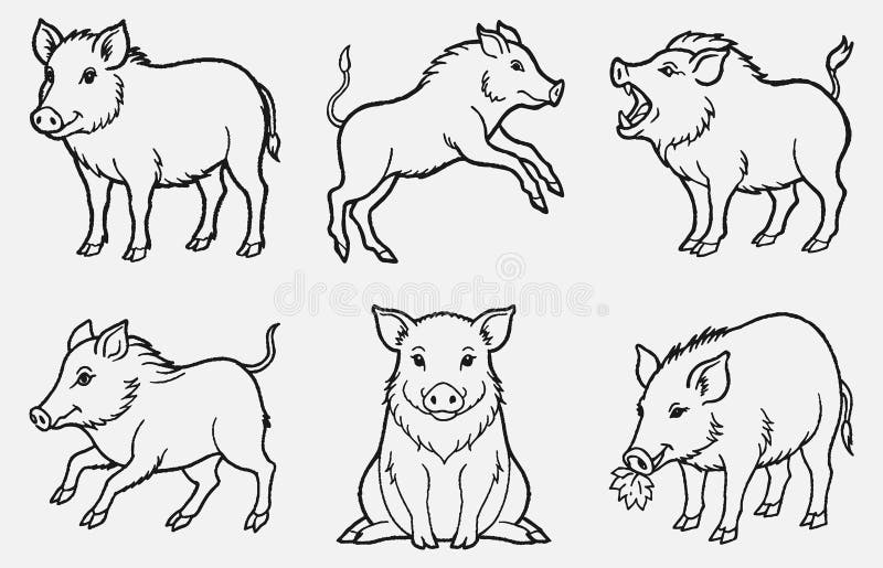Majestic Boar Line Art Collection Stock Vector - Illustration of wild ...