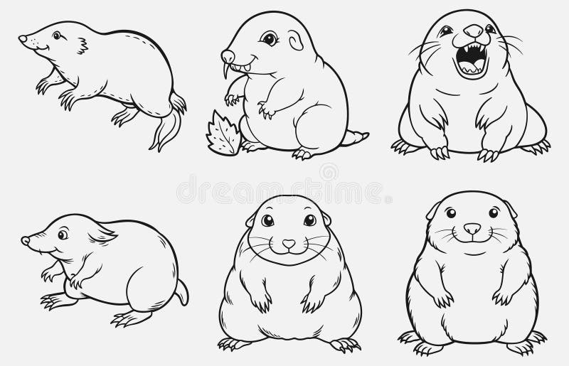 Magnificent Mole Stock Illustrations – 3 Magnificent Mole Stock ...