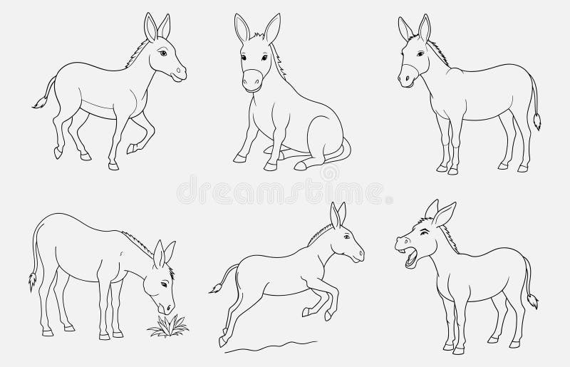 High-Resolution Mule Line Art Vector, Elegant, Minimalist Design Stock ...