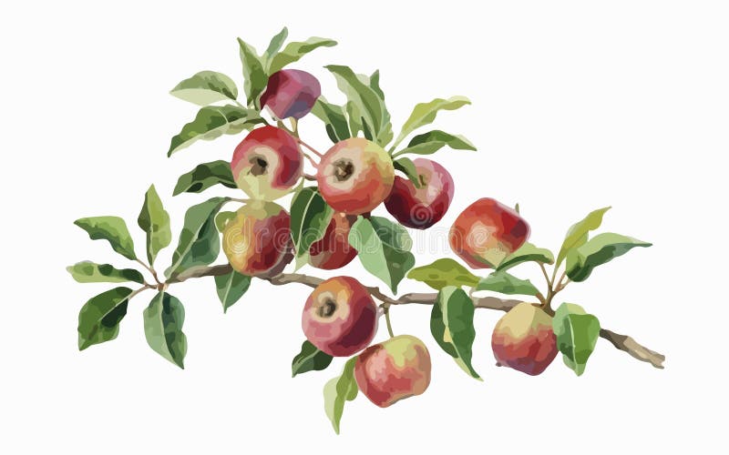 Apple Tree Watercolor Art and Illustration Generative AI Stock Vector ...