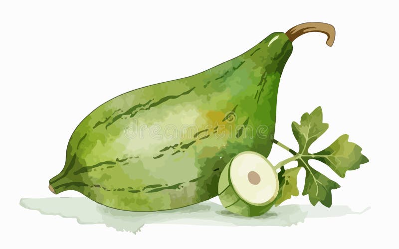 Bottle Gourd Watercolor Art and Illustration Generative AI Stock Vector ...