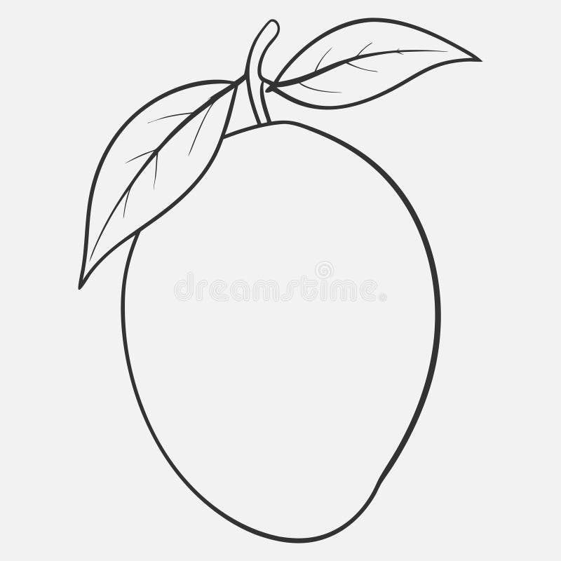 Mango Line Art: a Masterpiece of Simplicity and Elegance Stock Vector ...