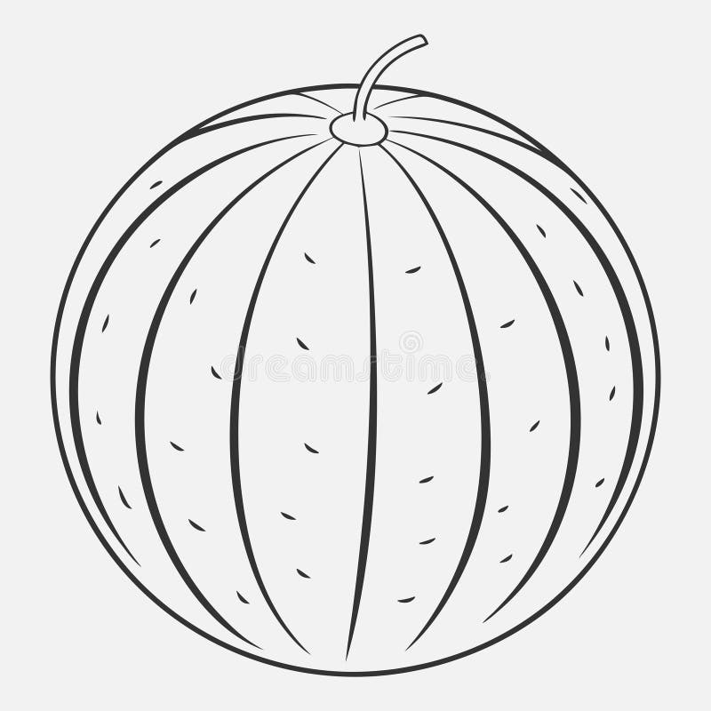 Elegant Melon Line Art: Minimalist Fruit Design Masterpiece Stock ...