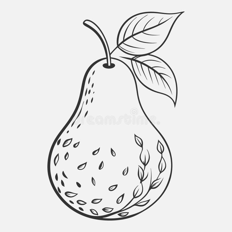Elegant Pear Line Art: Minimalist and Modern Illustrations Stock Vector ...