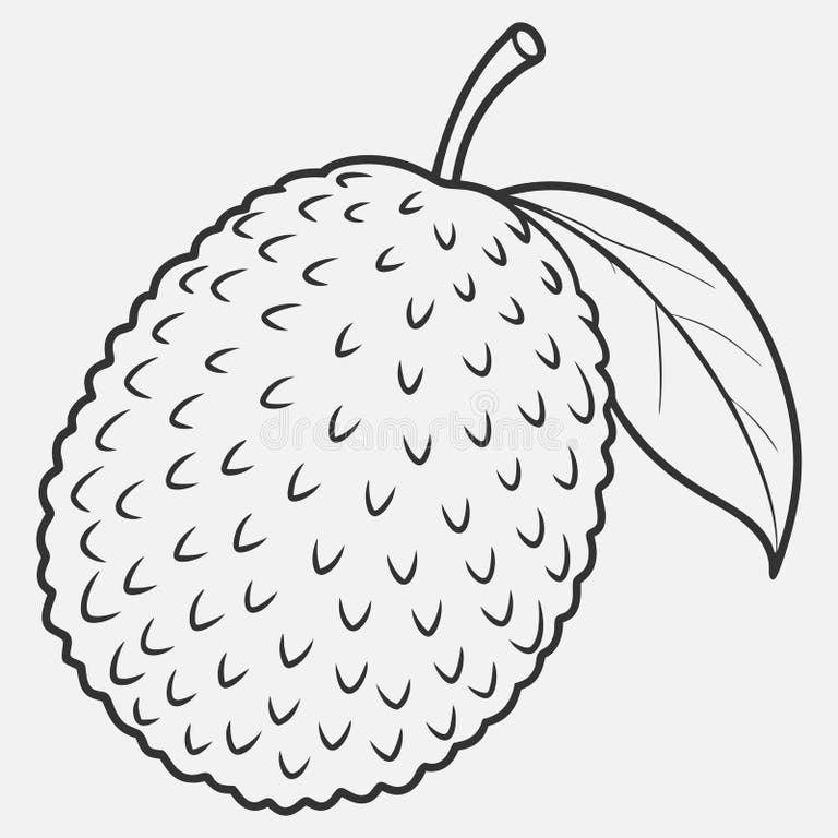 Stunning Jackfruit Line Art Collection Stock Vector - Illustration of ...