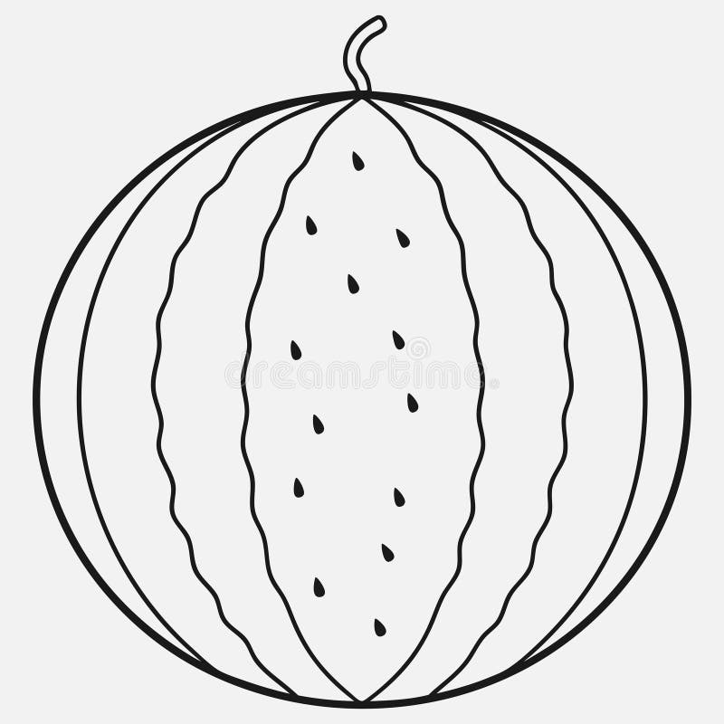 Watermelon Line Art: Minimalist Fruit Illustrations Stock Vector ...