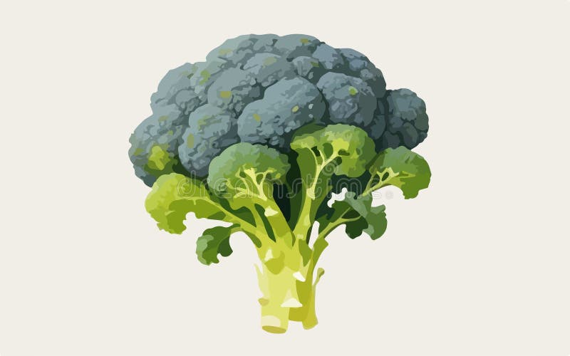 Broccoli Watercolor Art and Illustration Generative AI Stock Vector ...