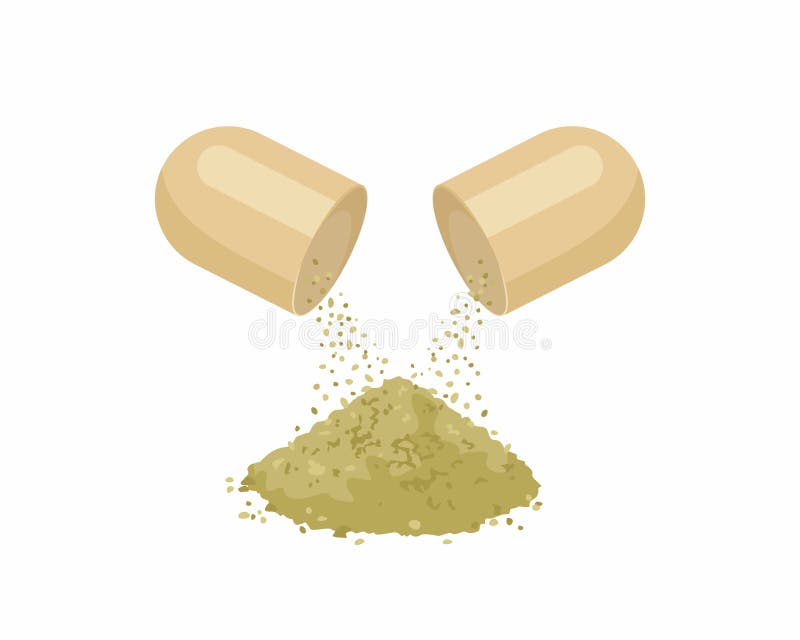Powdered Supplement is Poured Out of the Opened Capsule. Herbal ...