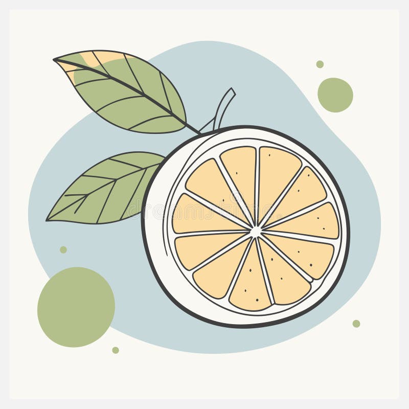 Vibrant Grapefruit Vector Illustration Stock Vector - Illustration of ...