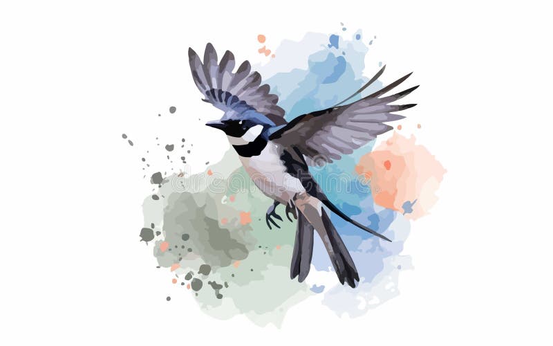 Magpie Robin Watercolor Art and Illustration Generative AI Stock ...