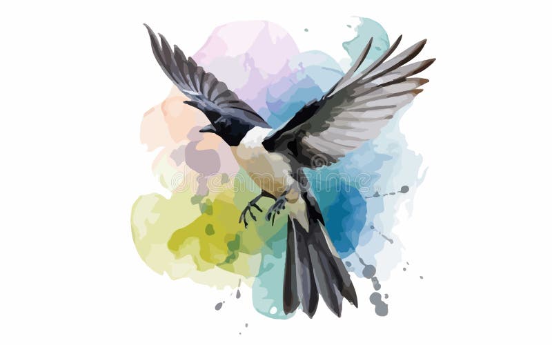 Magpie Robin Watercolor Art and Illustration Generative AI Stock ...