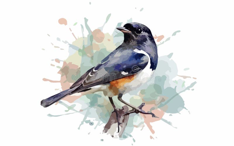 Magpie Robin Watercolor Art and Illustration Generative AI Stock Vector ...