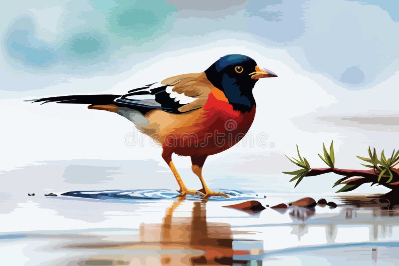 The Beauty of the Myna Bird Vector Art Illustration Stock Illustration ...