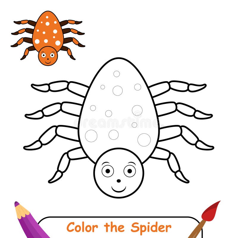 Spider Coloring Page, Coloring Book for Kids, Spider Isolated Vector ...
