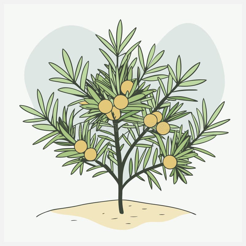 Majestic Yew Tree Vector Illustration Stock Vector - Illustration of ...