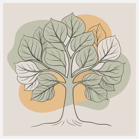 Teak Tree Vector Illustration Stock Vector - Illustration of plant ...