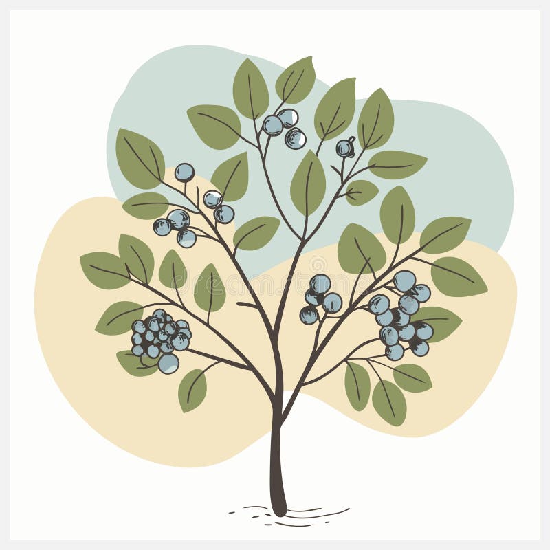 Majestic Serviceberry Tree Vector Illustration Stock Vector ...