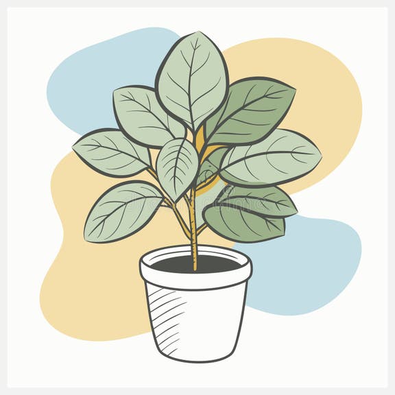 Majestic Rubber Tree Vector Illustration, a Lush and Detailed Botanical ...