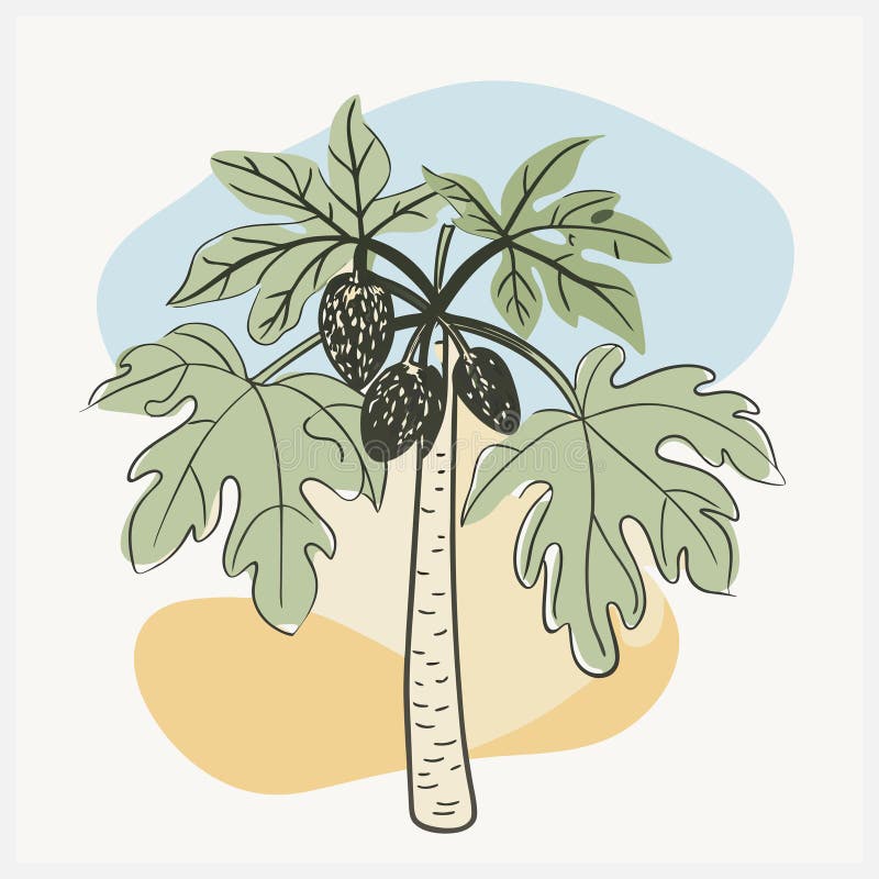 Exquisite Papaya Tree Vector Illustration, Lush Tropical Foliage in ...