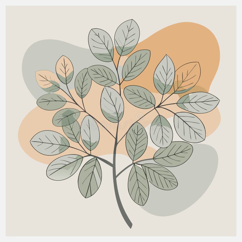 Stunning Locust Tree Vector Illustration Stock Vector - Illustration of ...