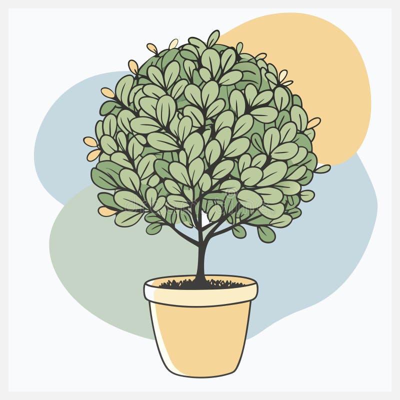 Elegant Boxwood Tree Vector Illustration Stock Vector - Illustration of ...