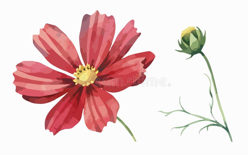 Cosmos Watercolor Art and Illustration Generative AI Stock Vector ...