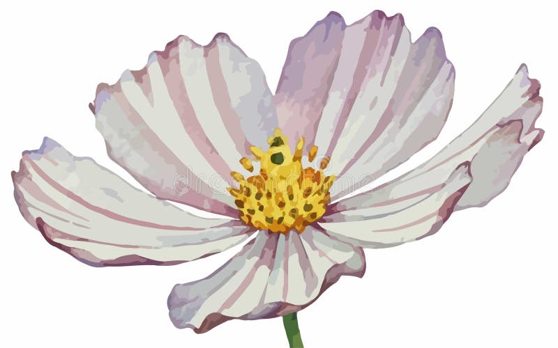 Cosmos Watercolor Art and Illustration Generative AI Stock Vector ...