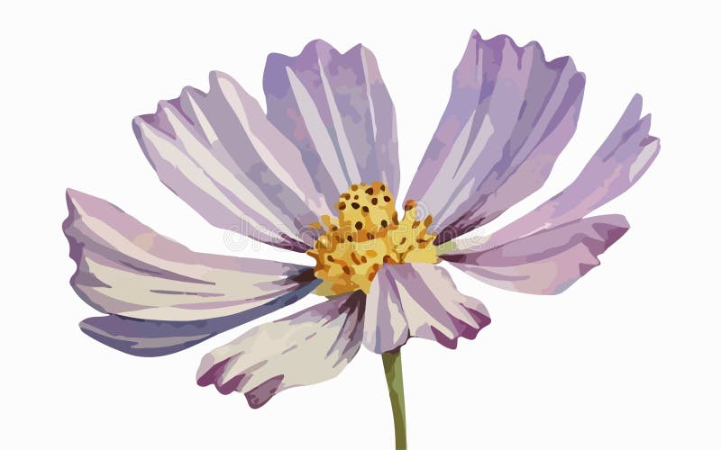 Cosmos Watercolor Art and Illustration Generative AI Stock Vector ...