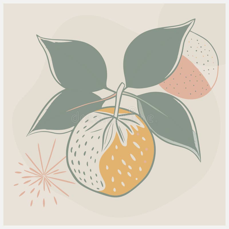 Dekopon Fruit Vector Illustration Stock Vector - Illustration of design ...