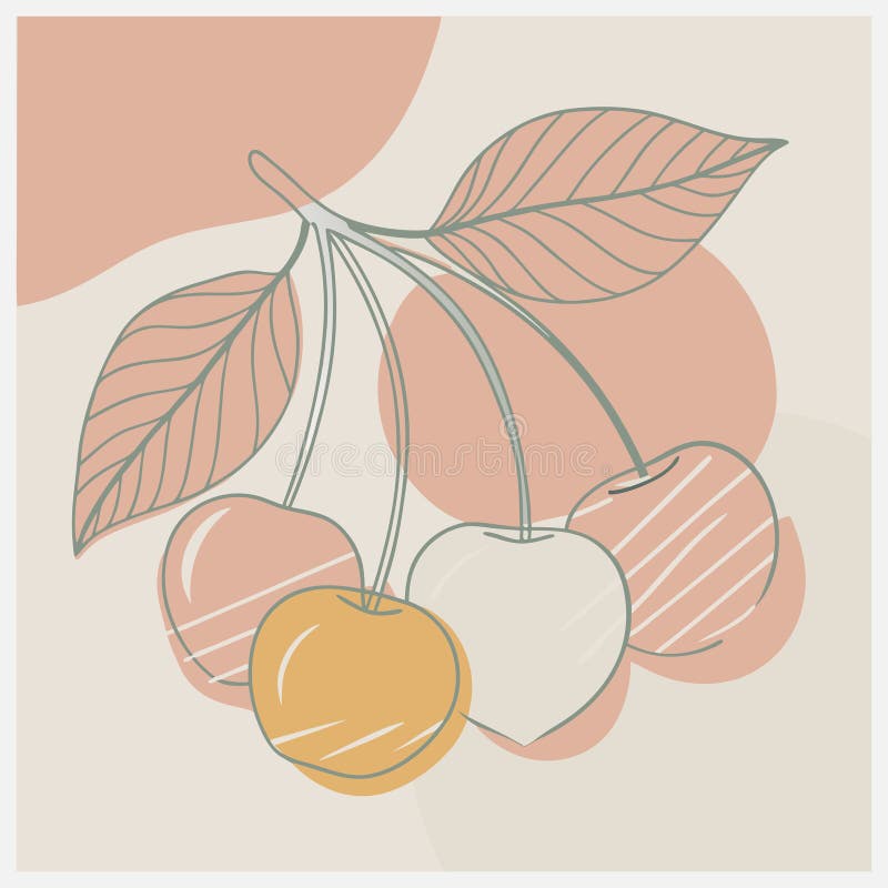 Vibrant Cherry Barbados Fruit Vector Illustration Stock Vector ...