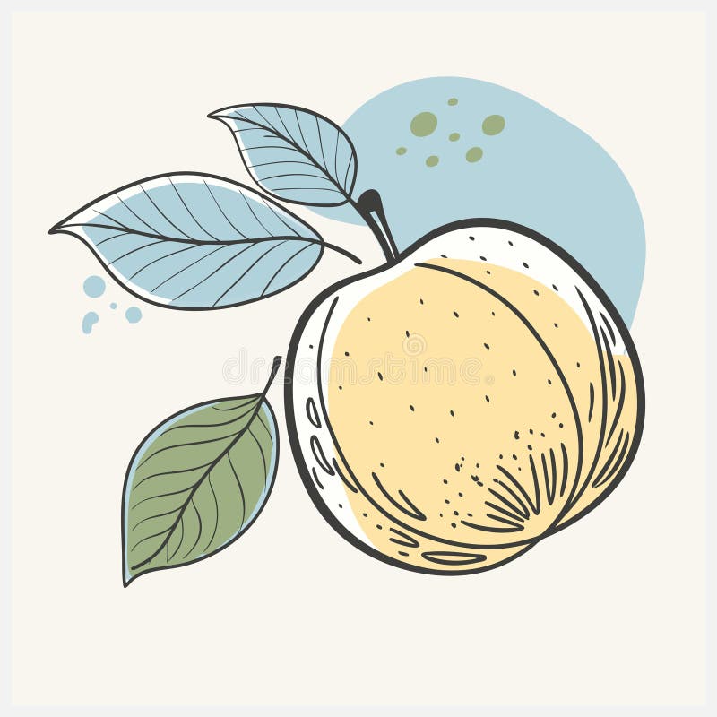 Brown Color Fruit Vector Illustration Stock Vector - Illustration of ...