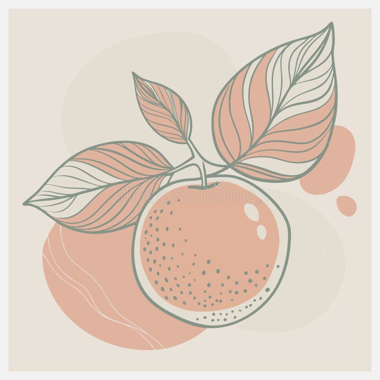 Brown Color Fruit Vector Illustration Stock Vector - Illustration of ...