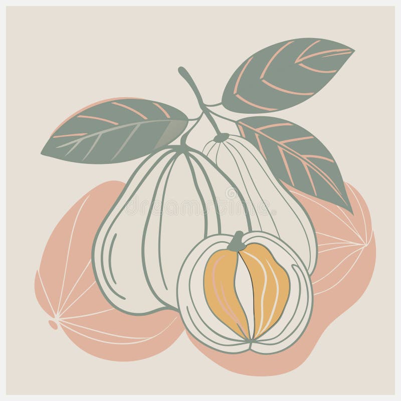 Vibrant Ackee Fruit Vector Illustration Stock Vector - Illustration of ...