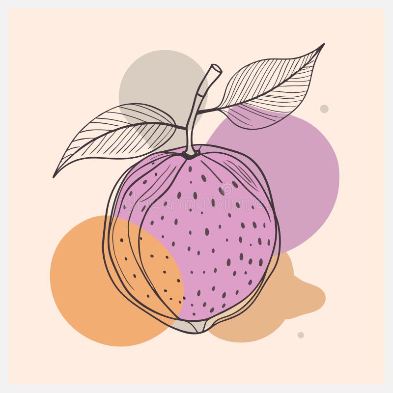 Vibrant Bignay Fruit Vector Illustration Exquisite Detail and Bold ...