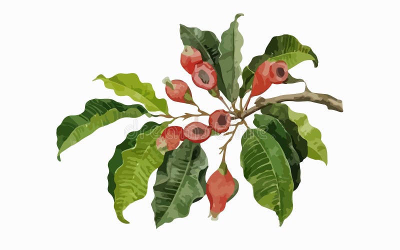 Guava Tree Watercolor Art and Illustration Generative AI Stock Vector ...