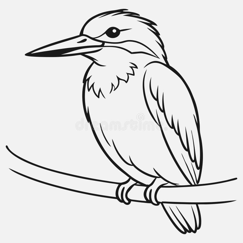 Graceful Kingfisher Bird Perched Stunning Line Art Illustration Stock ...
