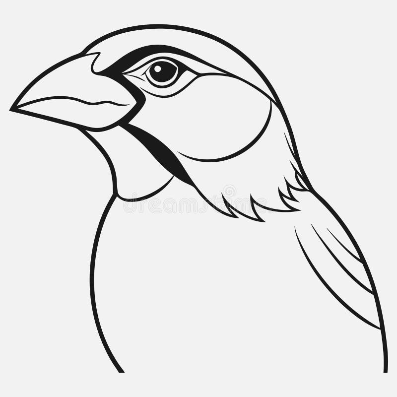 Headed Grosbeak Stock Illustrations – 40 Headed Grosbeak Stock ...