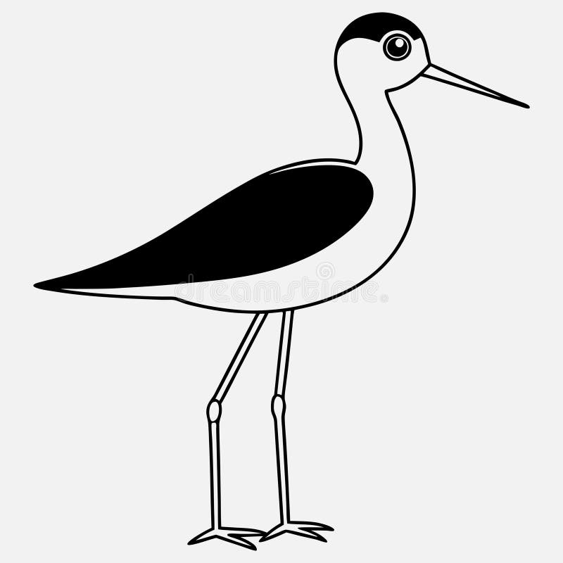 Graceful Black-Necked Stilt Bird Standing - Elegant Line Art ...