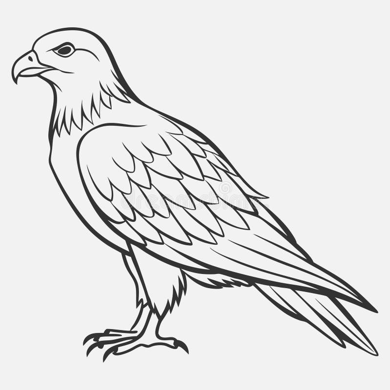Elegant Black Kite Bird - Stunning Line Art Masterpiece Stock Vector ...