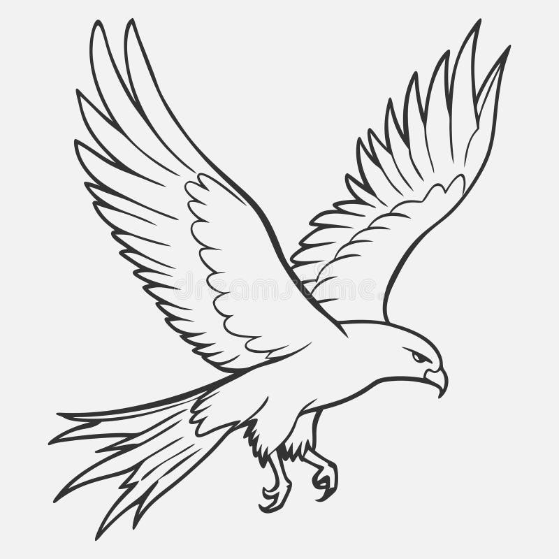 Soaring Black Kite Bird in Flight Elegant Line Art Design Stock Vector ...