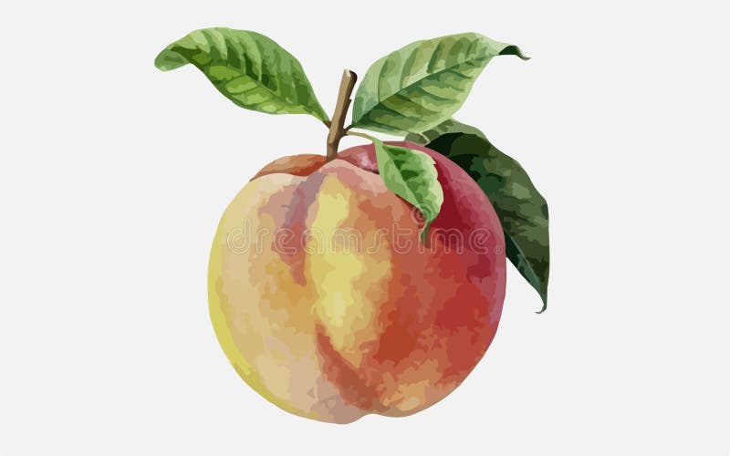 Peach with Leaf Art and Illustration Generative AI Stock Vector ...